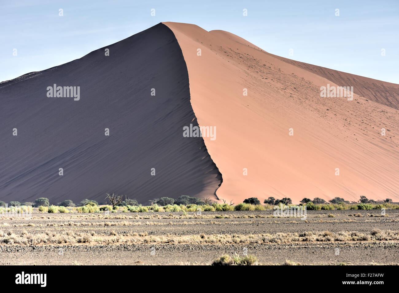 High red dunes, located in the Namib Desert, in the Namib-Naukluft ...