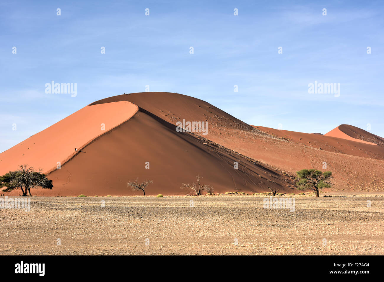 High red dunes, located in the Namib Desert, in the Namib-Naukluft ...