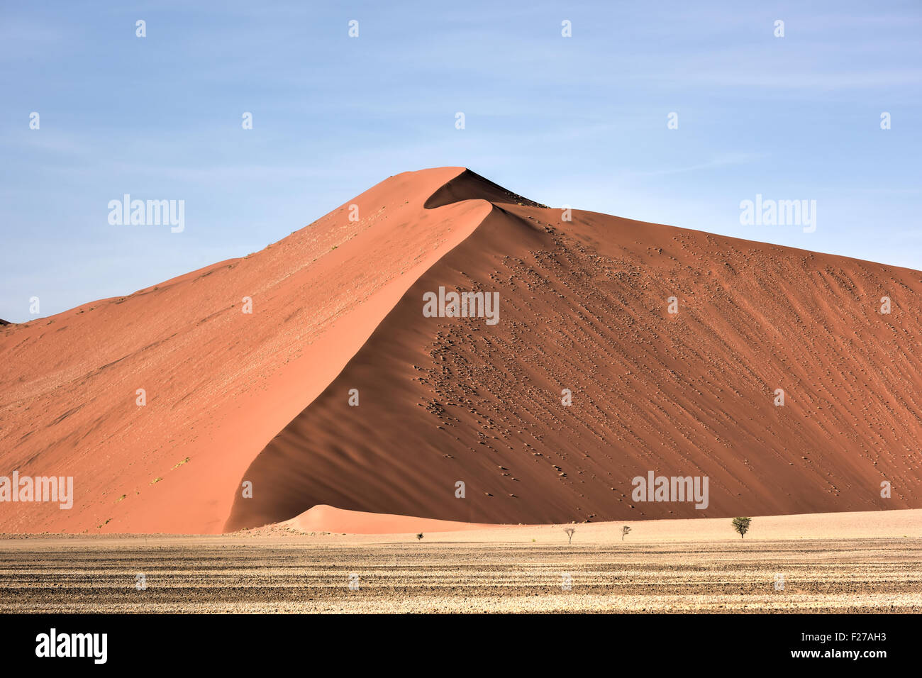 High red dunes, located in the Namib Desert, in the Namib-Naukluft ...