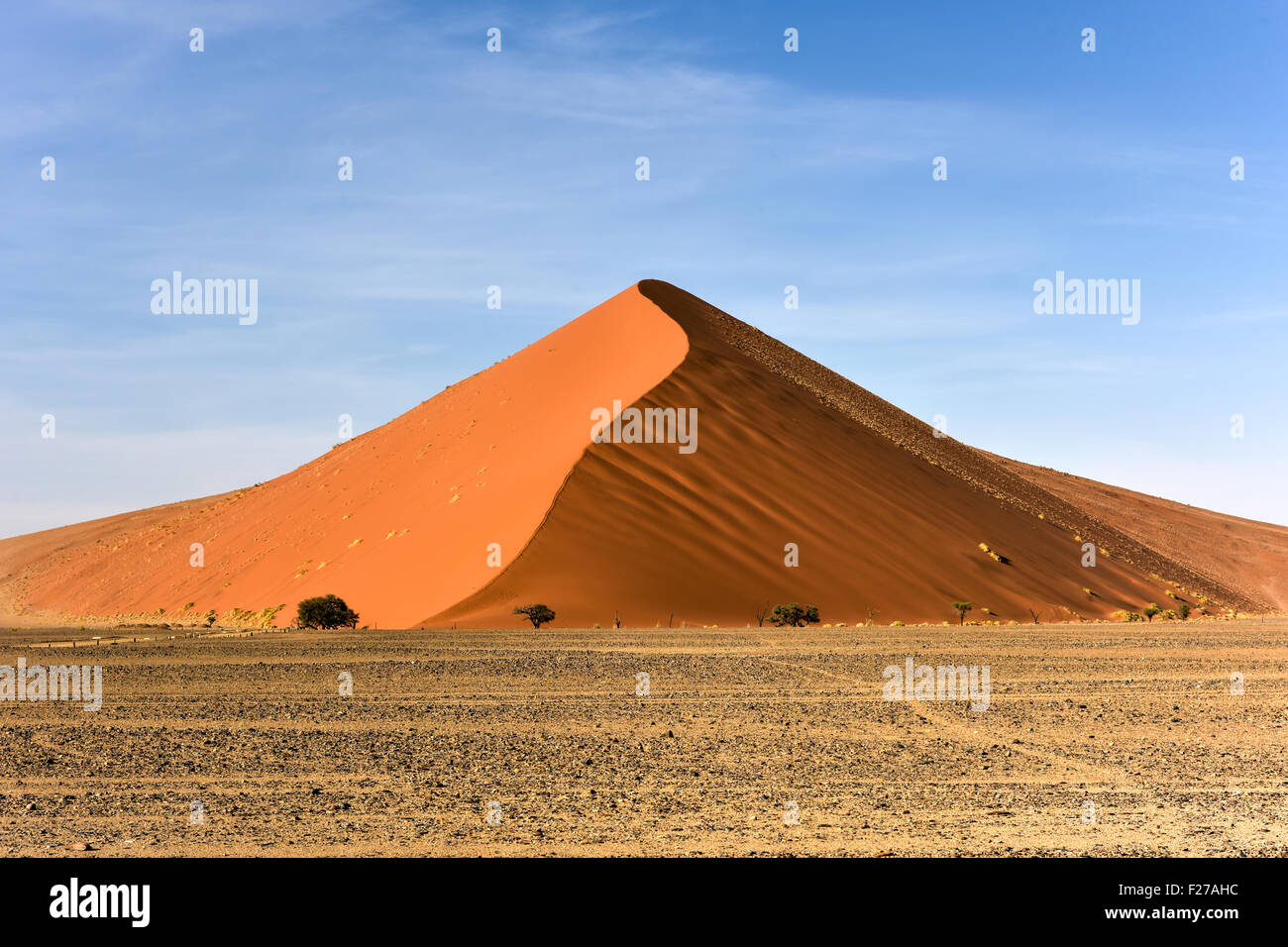 High red dunes, located in the Namib Desert, in the Namib-Naukluft ...