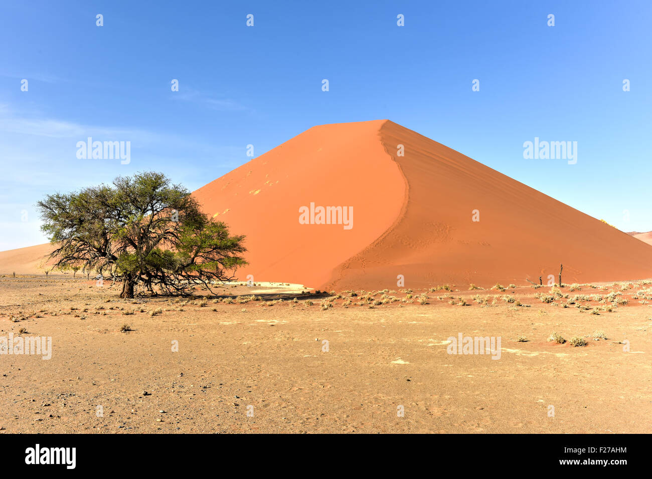 High red dunes, located in the Namib Desert, in the Namib-Naukluft ...