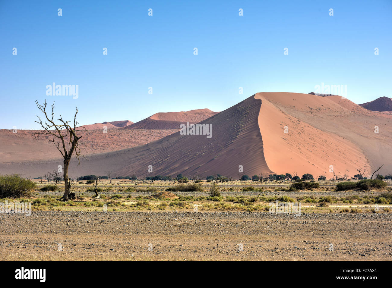 High red dunes, located in the Namib Desert, in the Namib-Naukluft ...