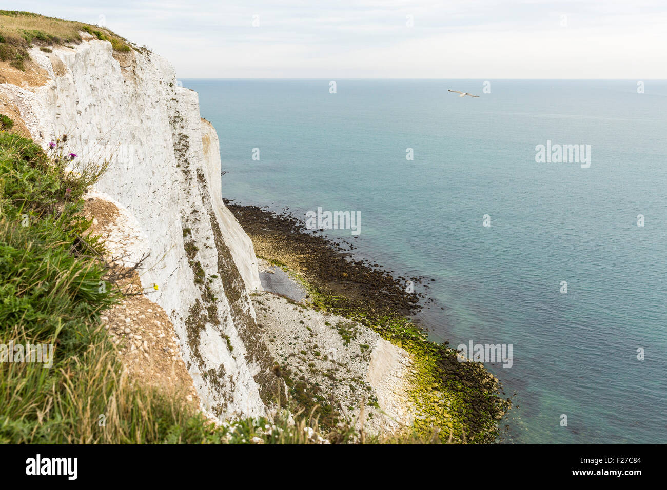 The White Cliffs of Dover, Dover, Kent, UK Stock Photo - Alamy