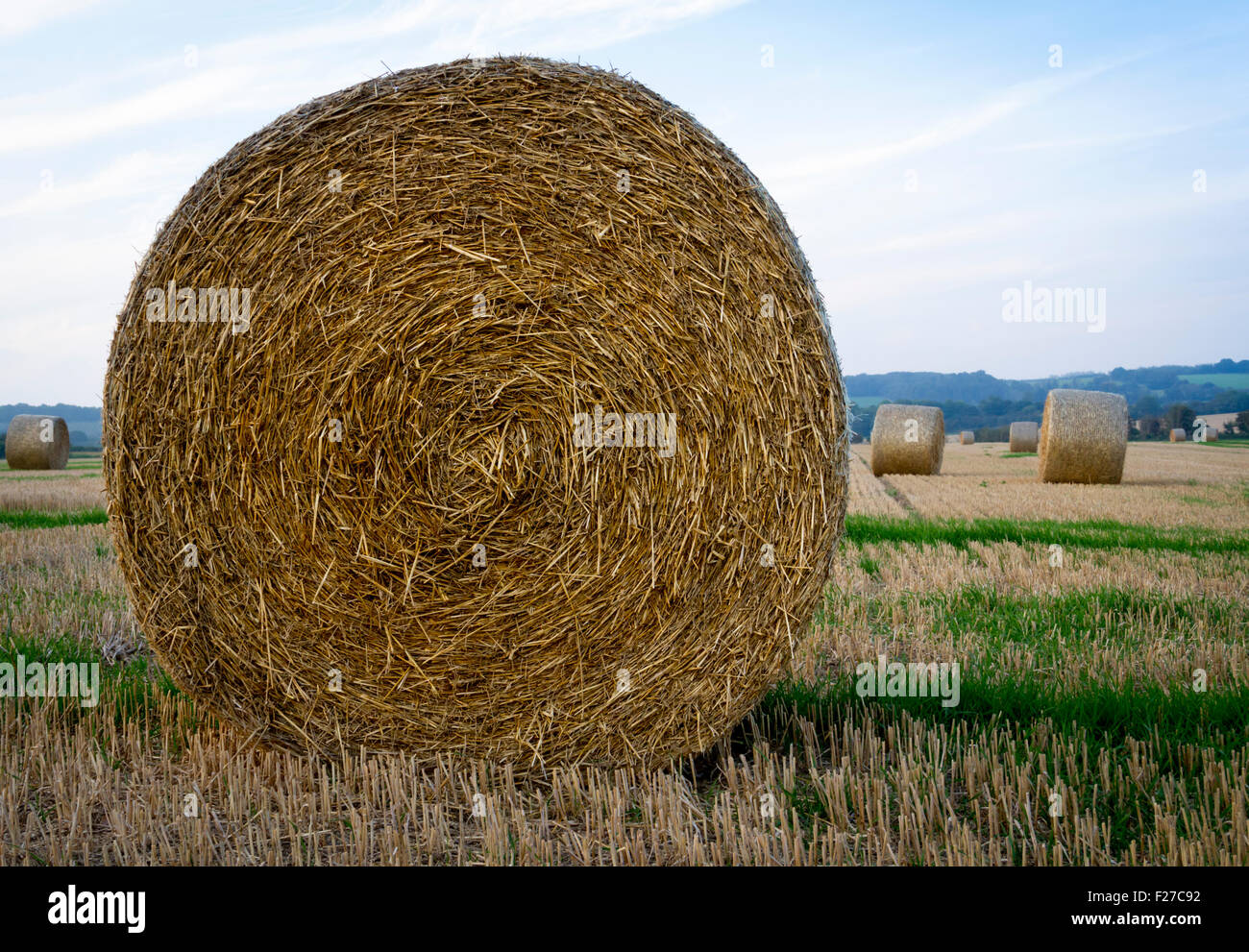 hay bales in field Stock Photo - Alamy