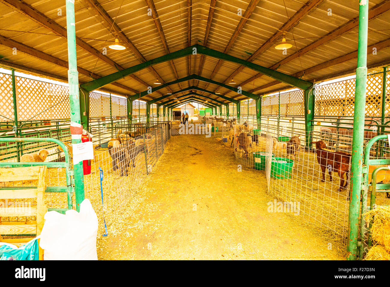 Calaveras county fair hi-res stock photography and images - Alamy Calaveras county fair hi-res stock photography and images - Alamy