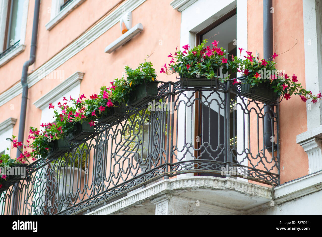 Window sill with flowers Stock Photo - Alamy