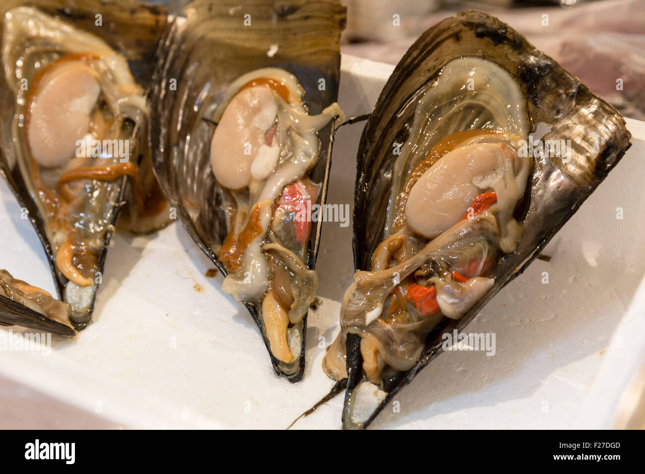 Giant mussel, Tsukiji Market, Tokyo, Japan. Tsukiji Market is one of ...