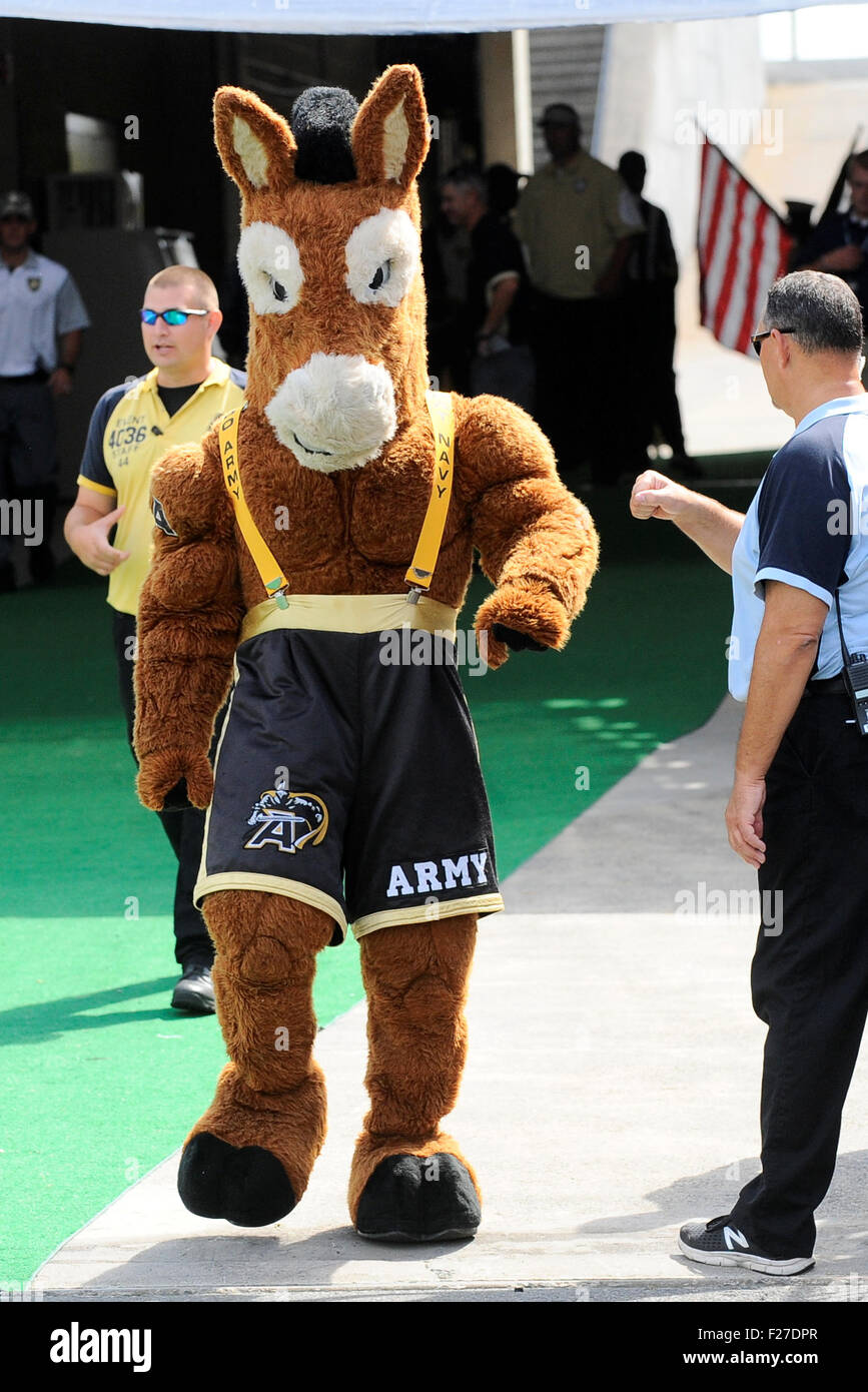 Army Mule High Resolution Stock Photography and Images - Alamy