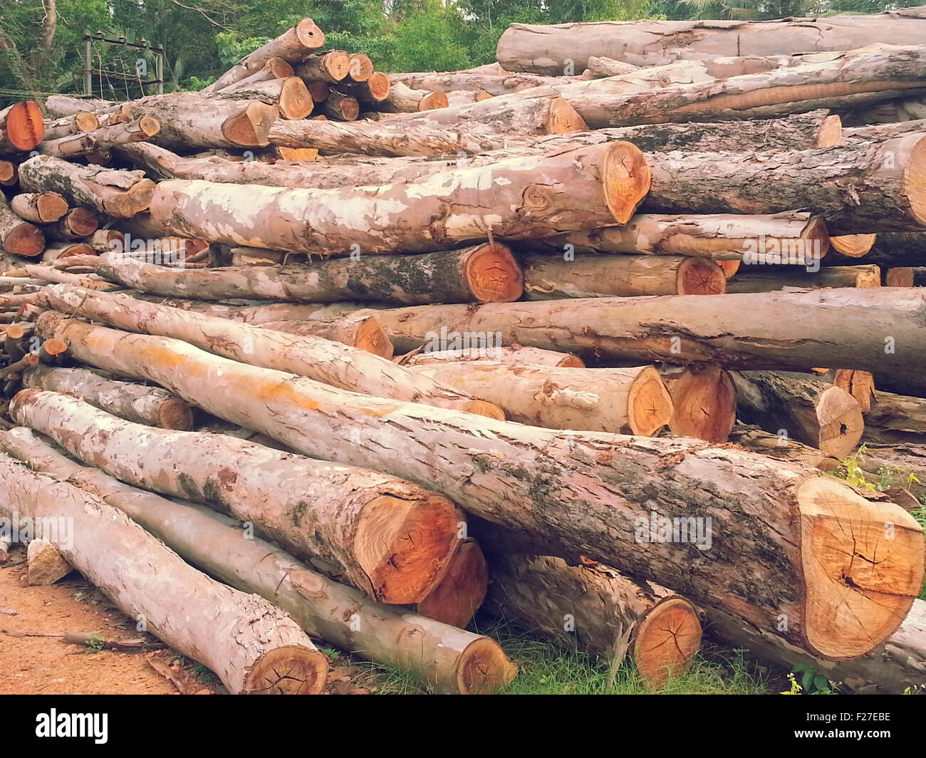 Wooden logs hi-res stock photography and images - Alamy