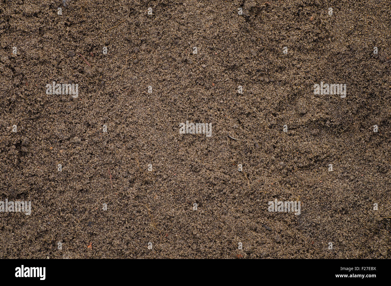Humus soil hi-res stock photography and images - Alamy