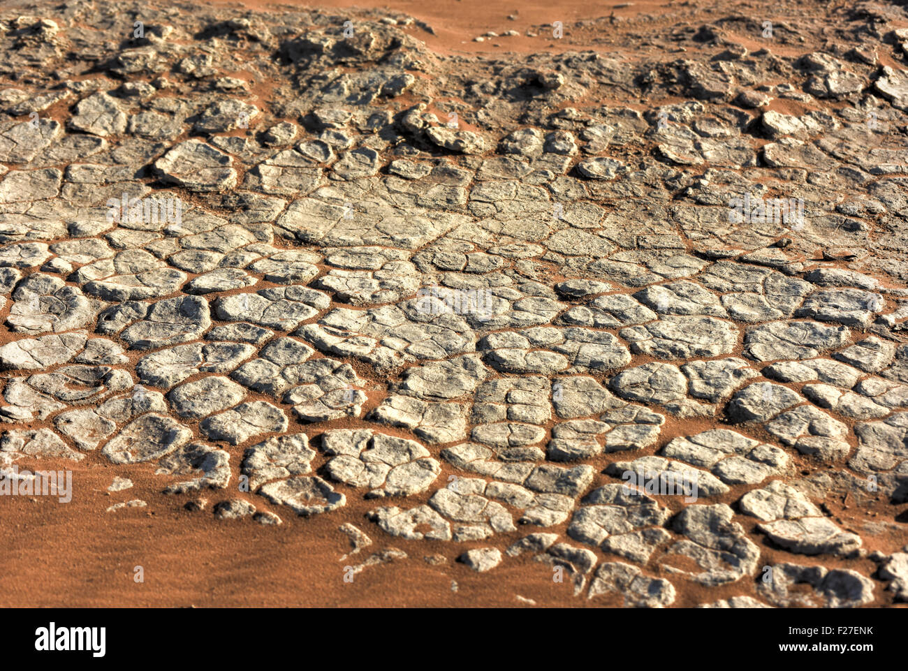 Dry clay of the Hidden Vlei in the southern part of the Namib Desert ...