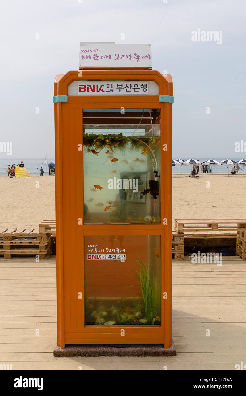 Telephone box converted into a fish tank in Haeundae Beach ...