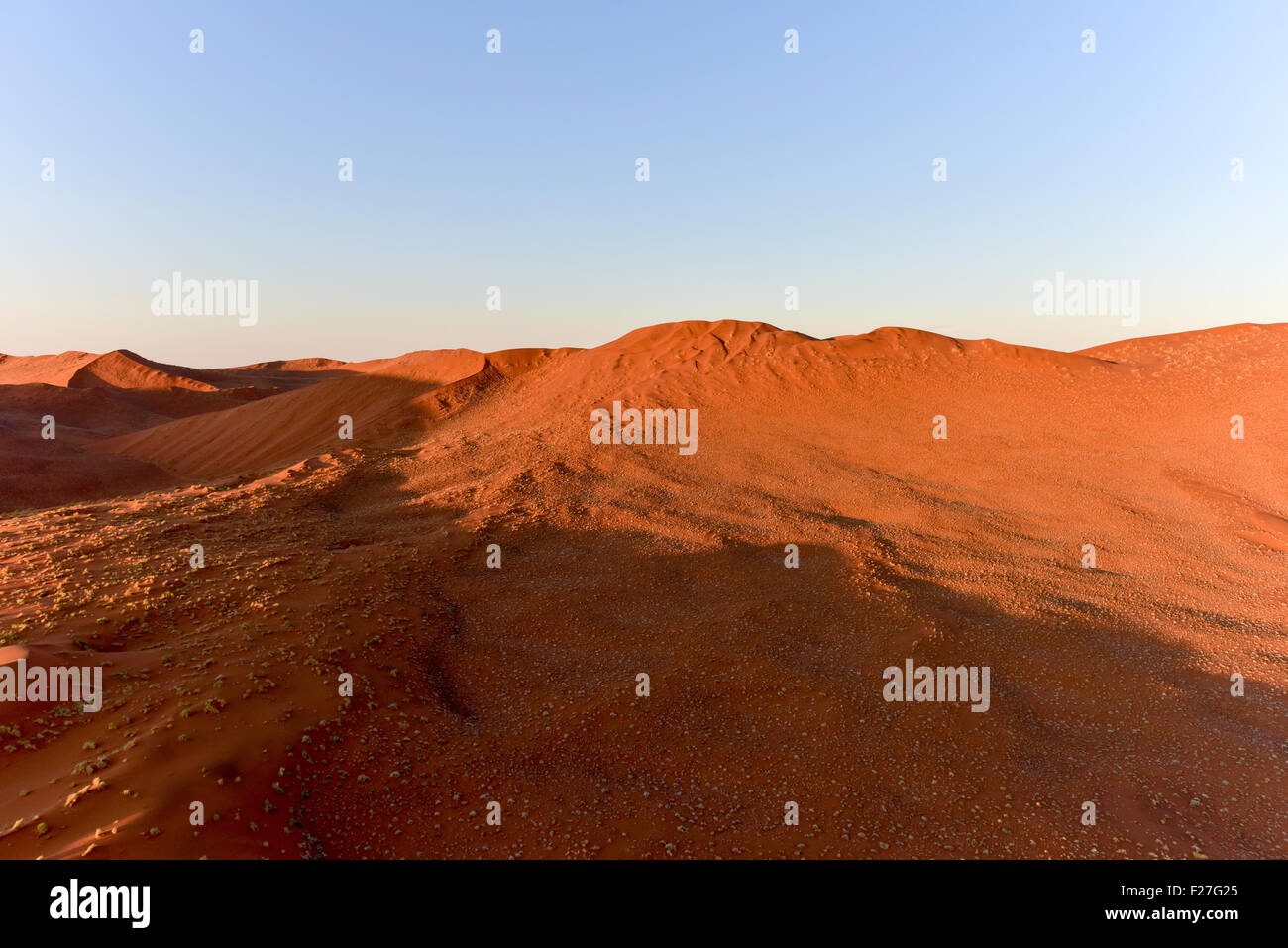 Aerial view of high red dunes, located in the Namib Desert, in the ...