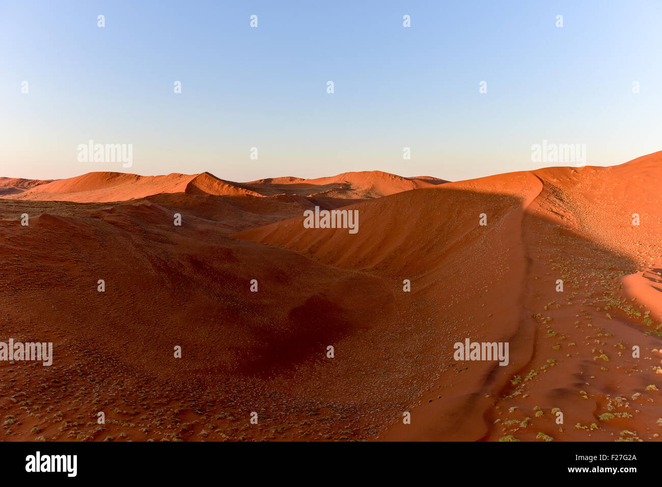 Aerial view of high red dunes, located in the Namib Desert, in the ...
