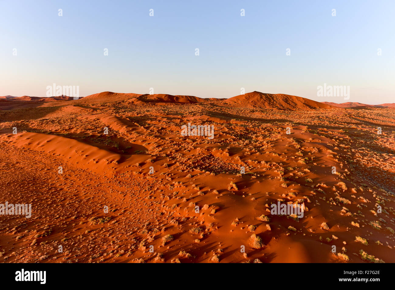 Aerial view of high red dunes, located in the Namib Desert, in the ...