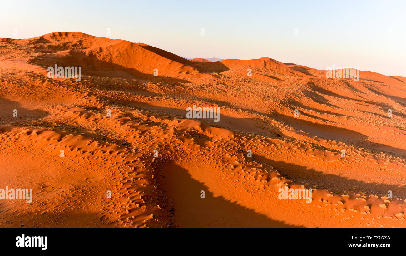 Aerial view of high red dunes, located in the Namib Desert, in the ...