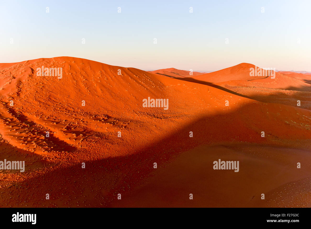 Aerial view of high red dunes, located in the Namib Desert, in the ...