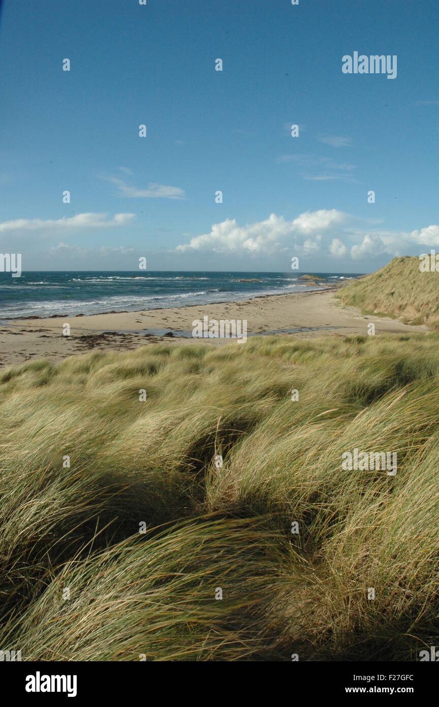 Isle of Coll, Scotland Stock Photo - Alamy