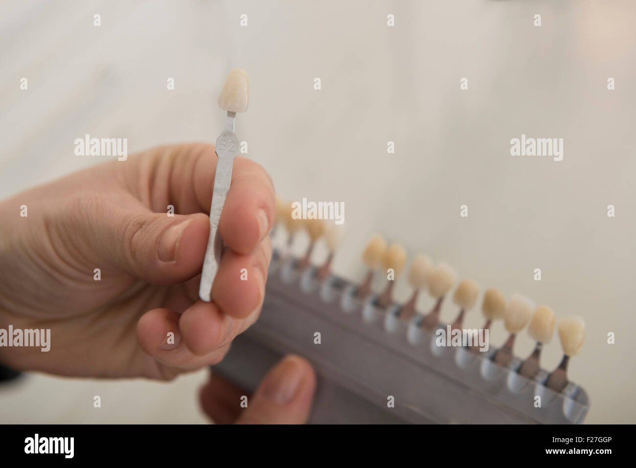 Dentist hand showing a model of teeth, Munich, Bavaria, Germany Stock ...