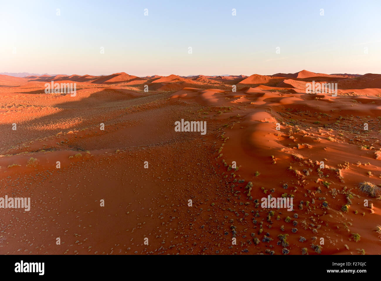 Aerial view of high red dunes, located in the Namib Desert, in the ...