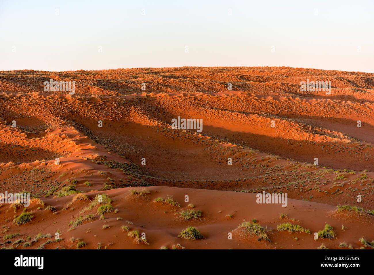 Aerial view of high red dunes, located in the Namib Desert, in the ...