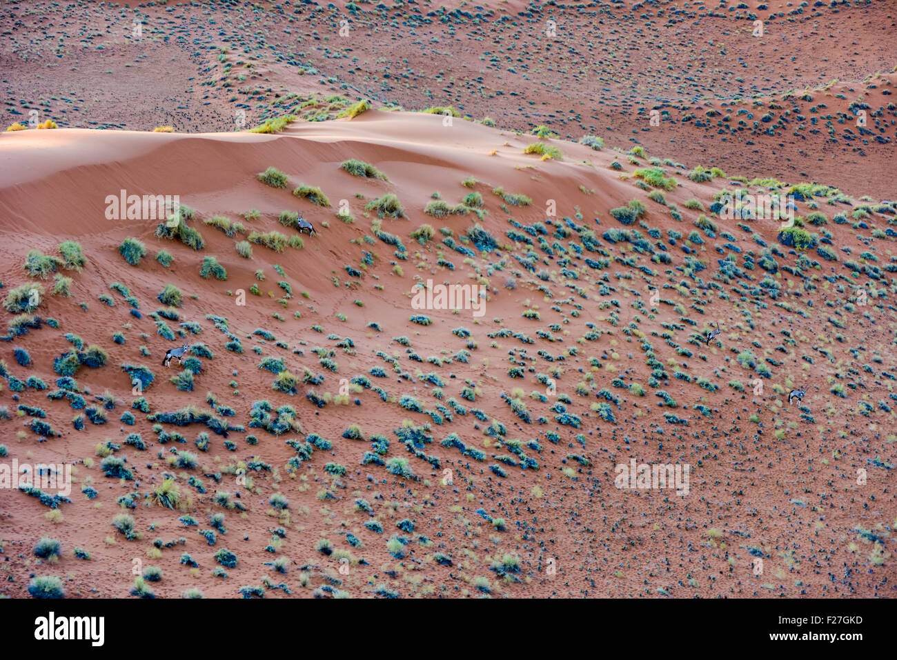 Aerial view namib naukluft park hi-res stock photography and images - Alamy