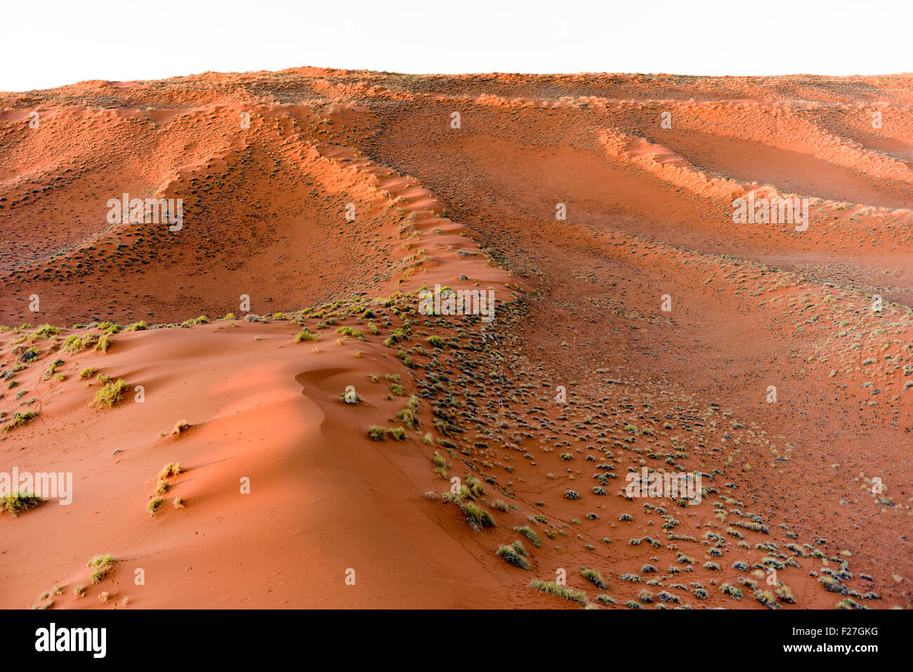 Aerial view of high red dunes, located in the Namib Desert, in the ...