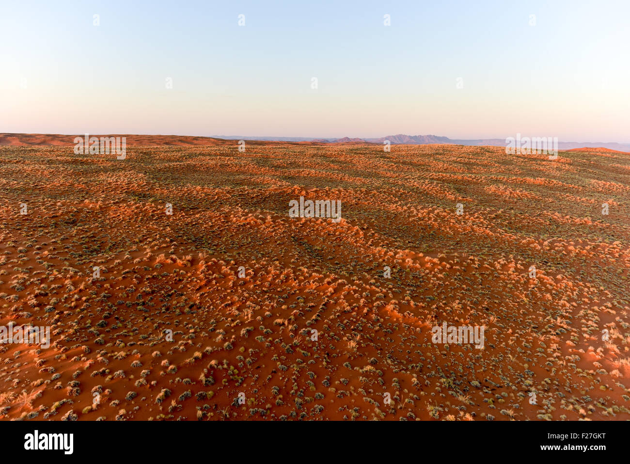 Aerial view of high red dunes, located in the Namib Desert, in the ...