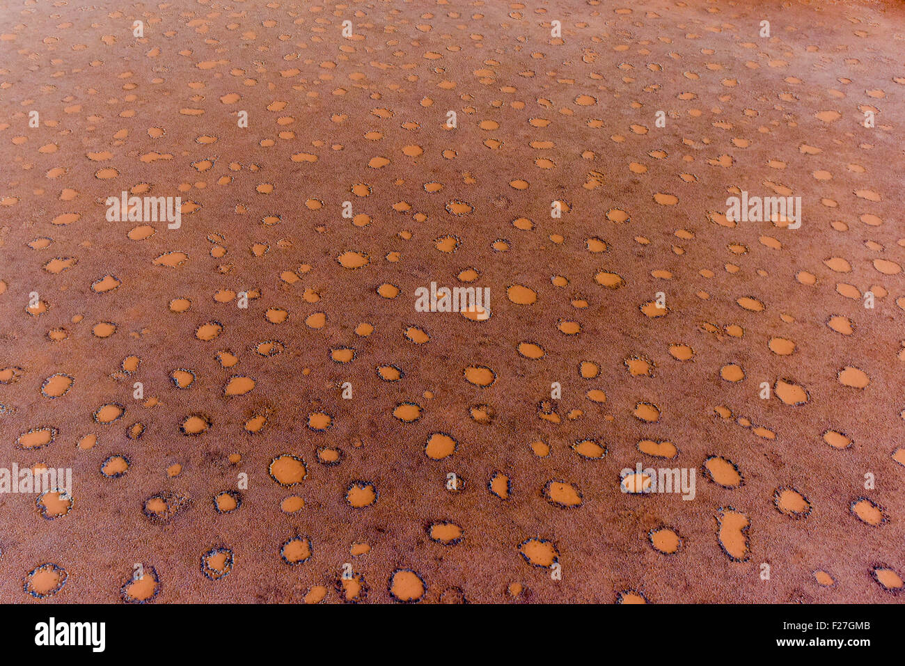 Aerial view of fairy circles, located in the Namib Desert, in the Namib ...