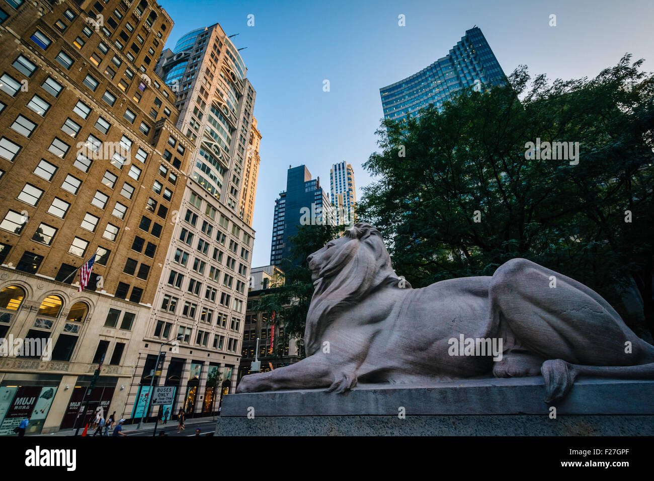 The Library Lions and buildings in Midtown Manhattan, New York Stock ...