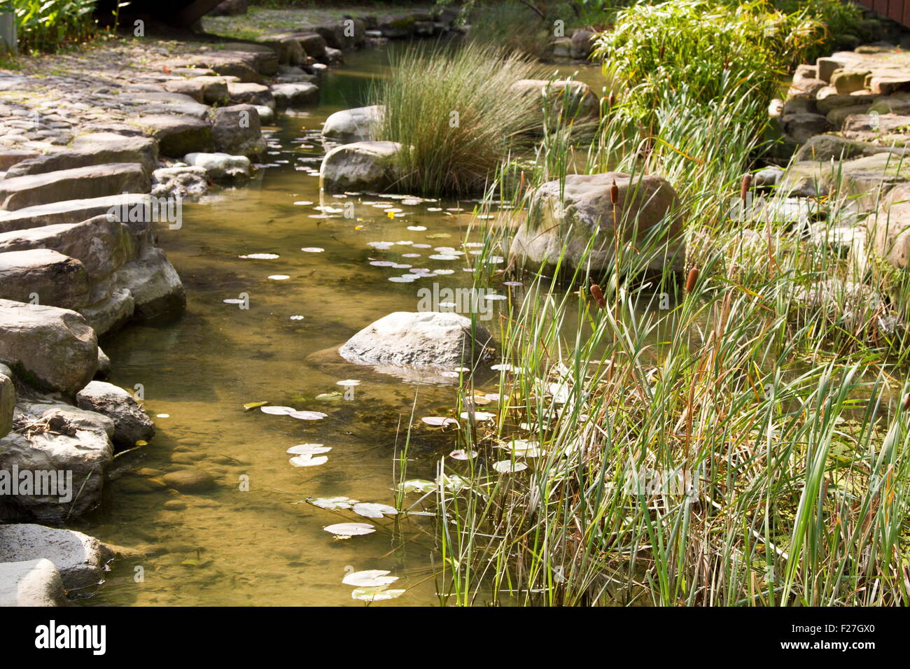 Summer stream and plants scenic hi-res stock photography and images - Alamy