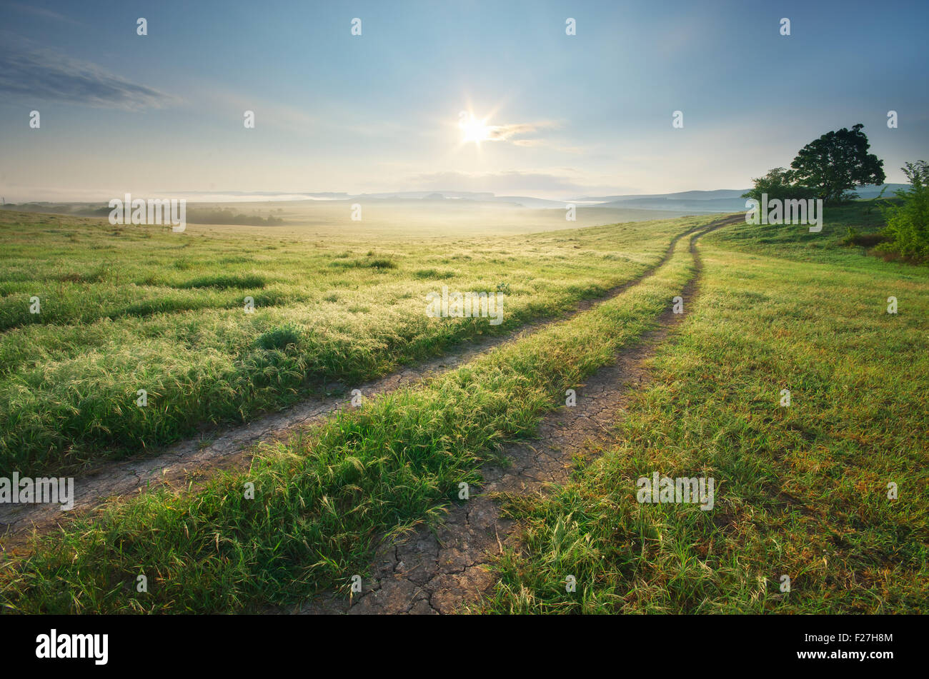 Road lane and deep sky. Nature design Stock Photo - Alamy