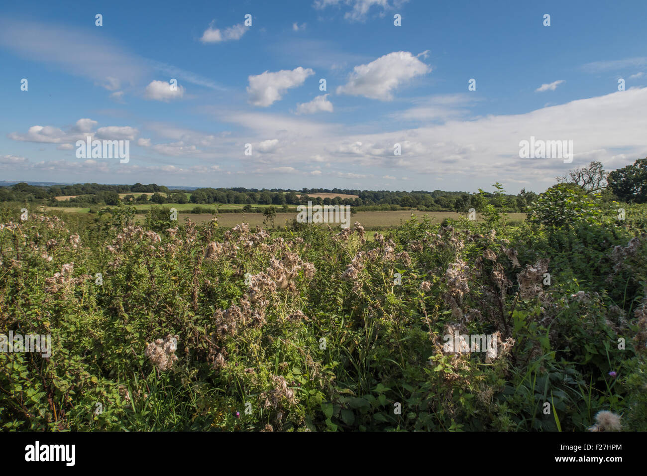 View of the beautiful countryside around Cranbrook in Kent Stock Photo ...