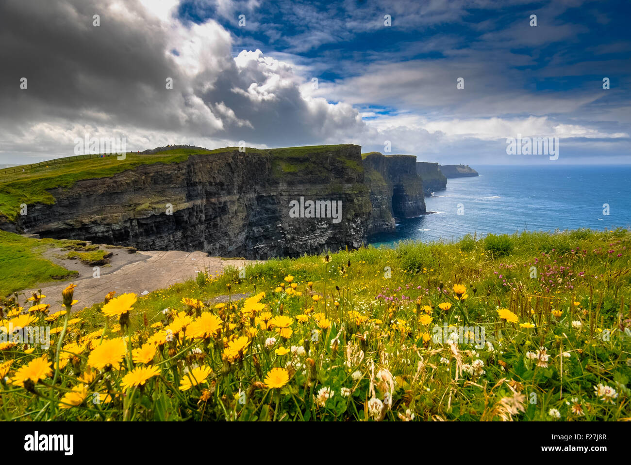 cliffs of moher in ireland Stock Photo - Alamy
