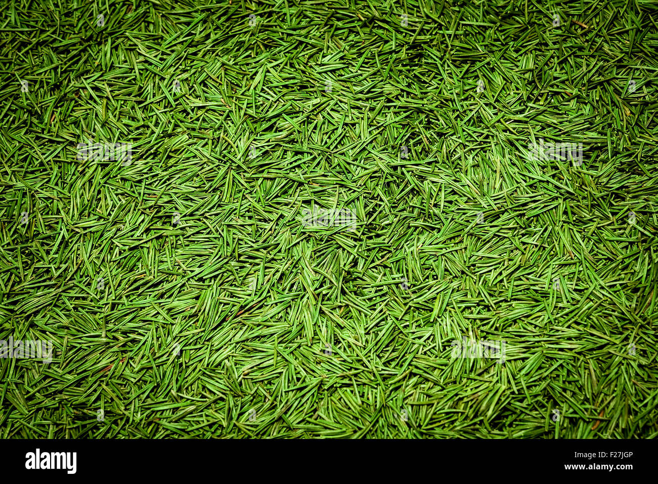 christmas tree needles background Stock Photo - Alamy
