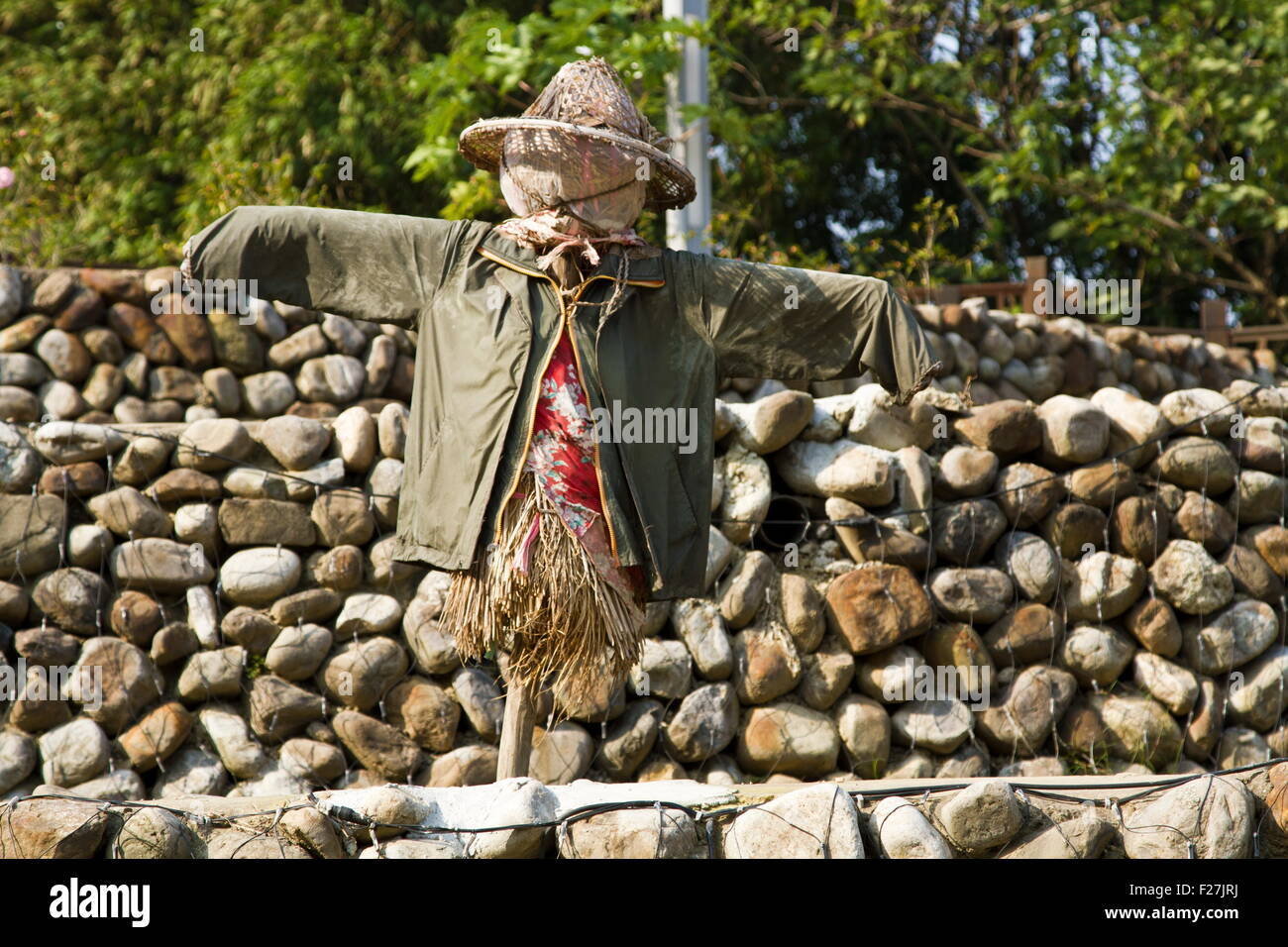 scarecrow in a farm Stock Photo - Alamy