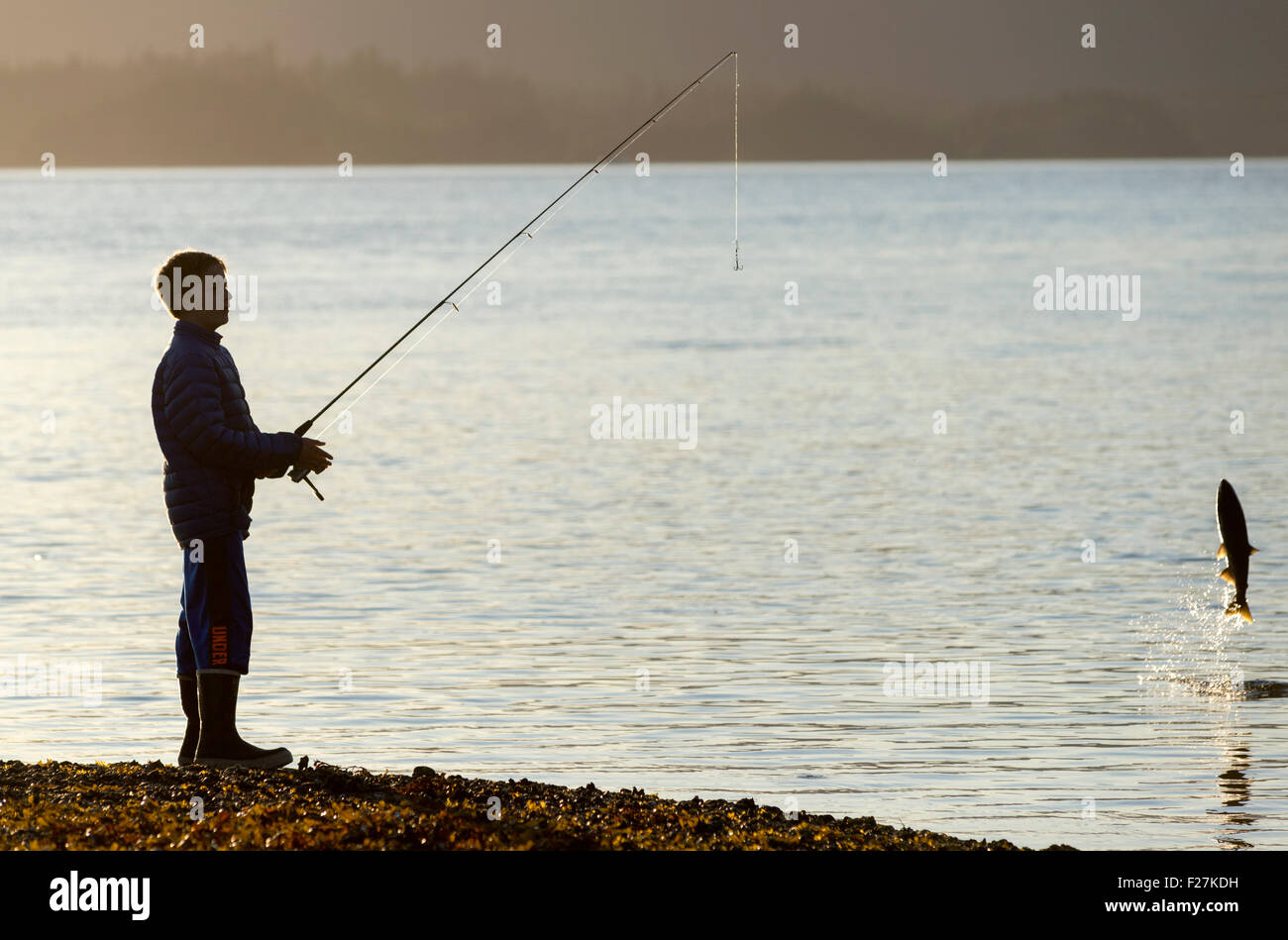 Fish ocean jumping hi-res stock photography and images - Alamy