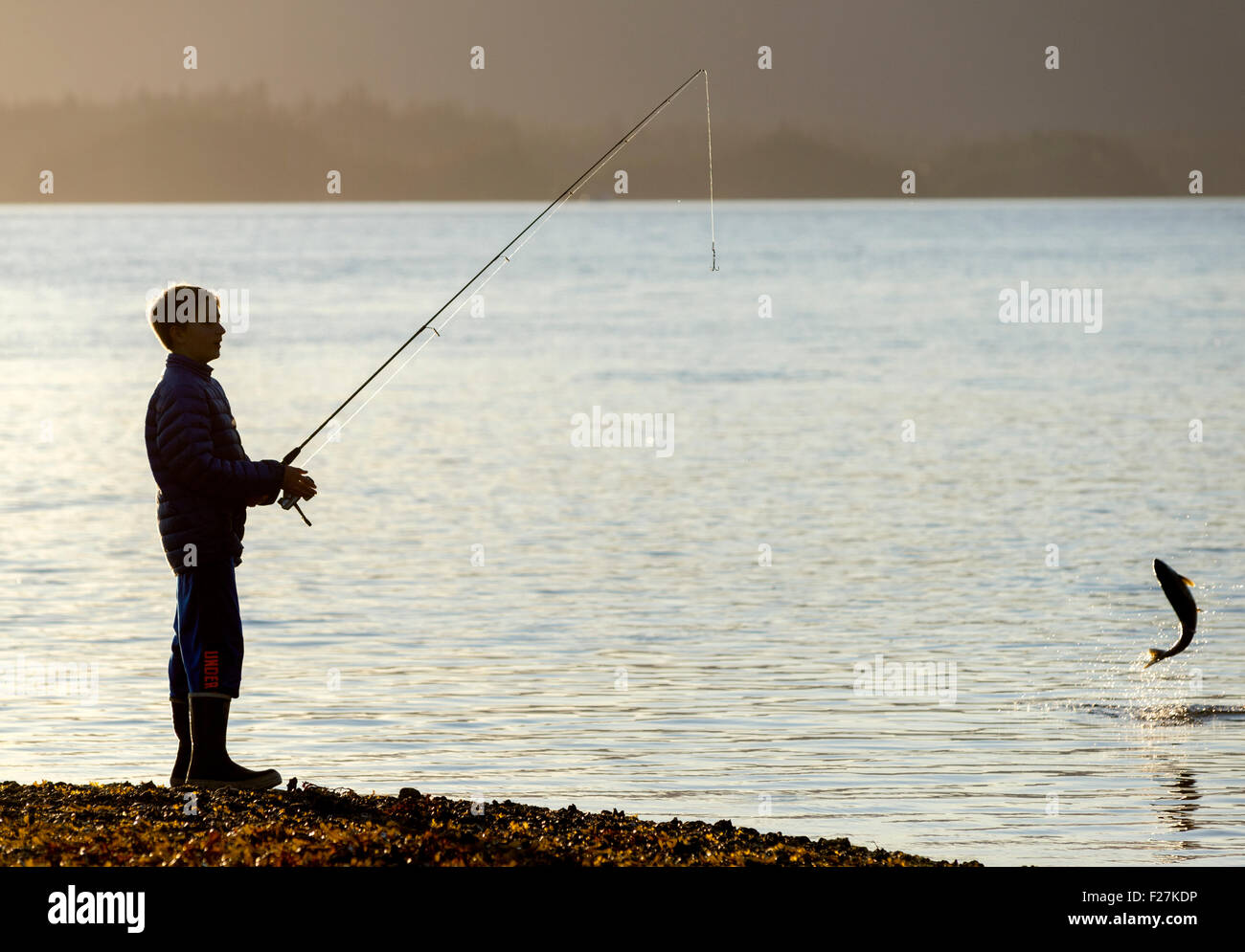 Salmon jumping in front of boy fishing in Starrigavan Bay, near Sitka ...