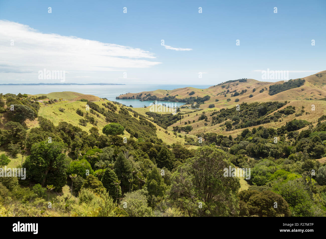 Beautiful green coast landscape at Wilson Bay, New Zealand Stock Photo ...