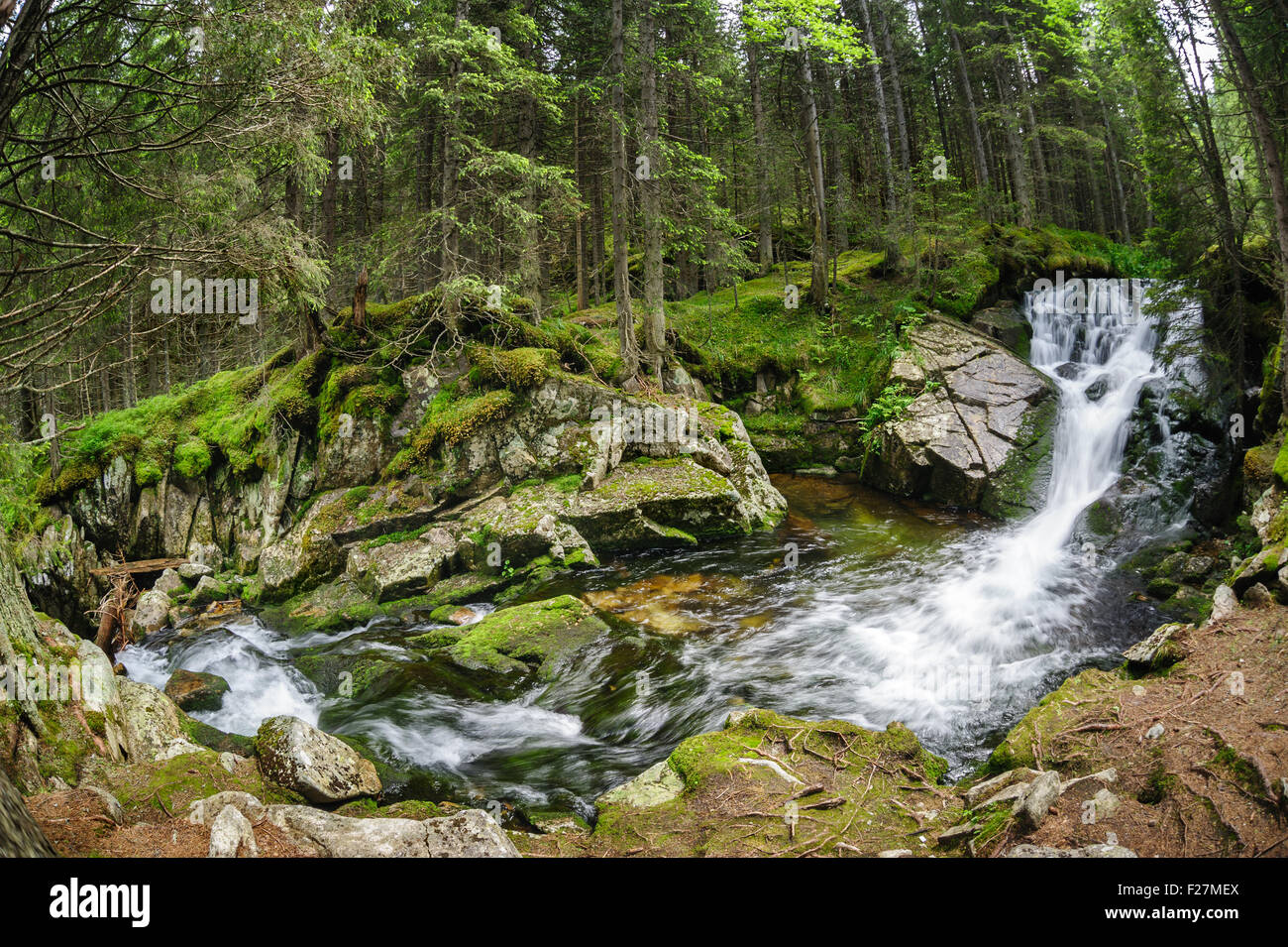 Mountain waterfall in deep forest hi-res stock photography and images ...