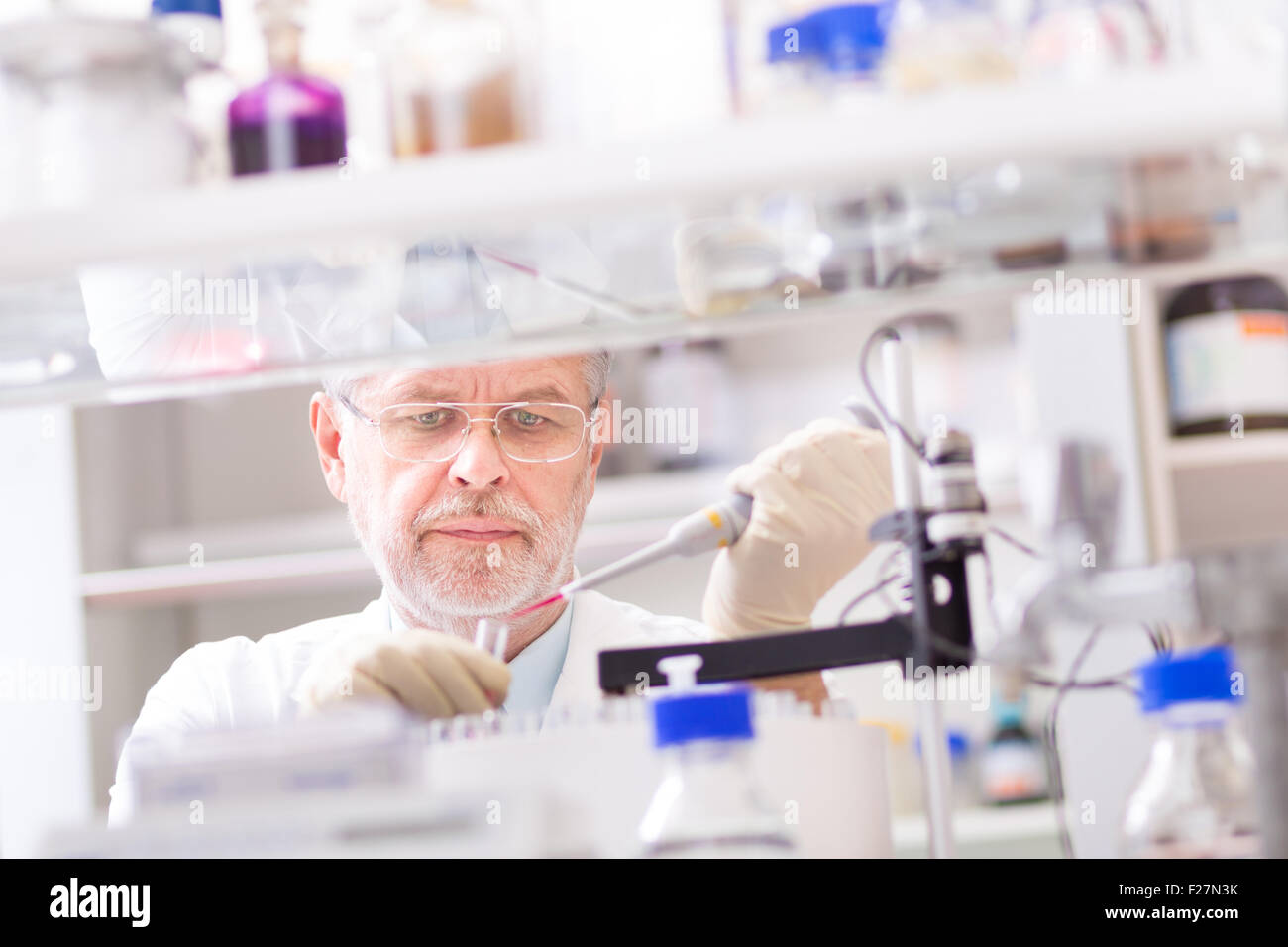 Life scientist researching in the laboratory Stock Photo - Alamy