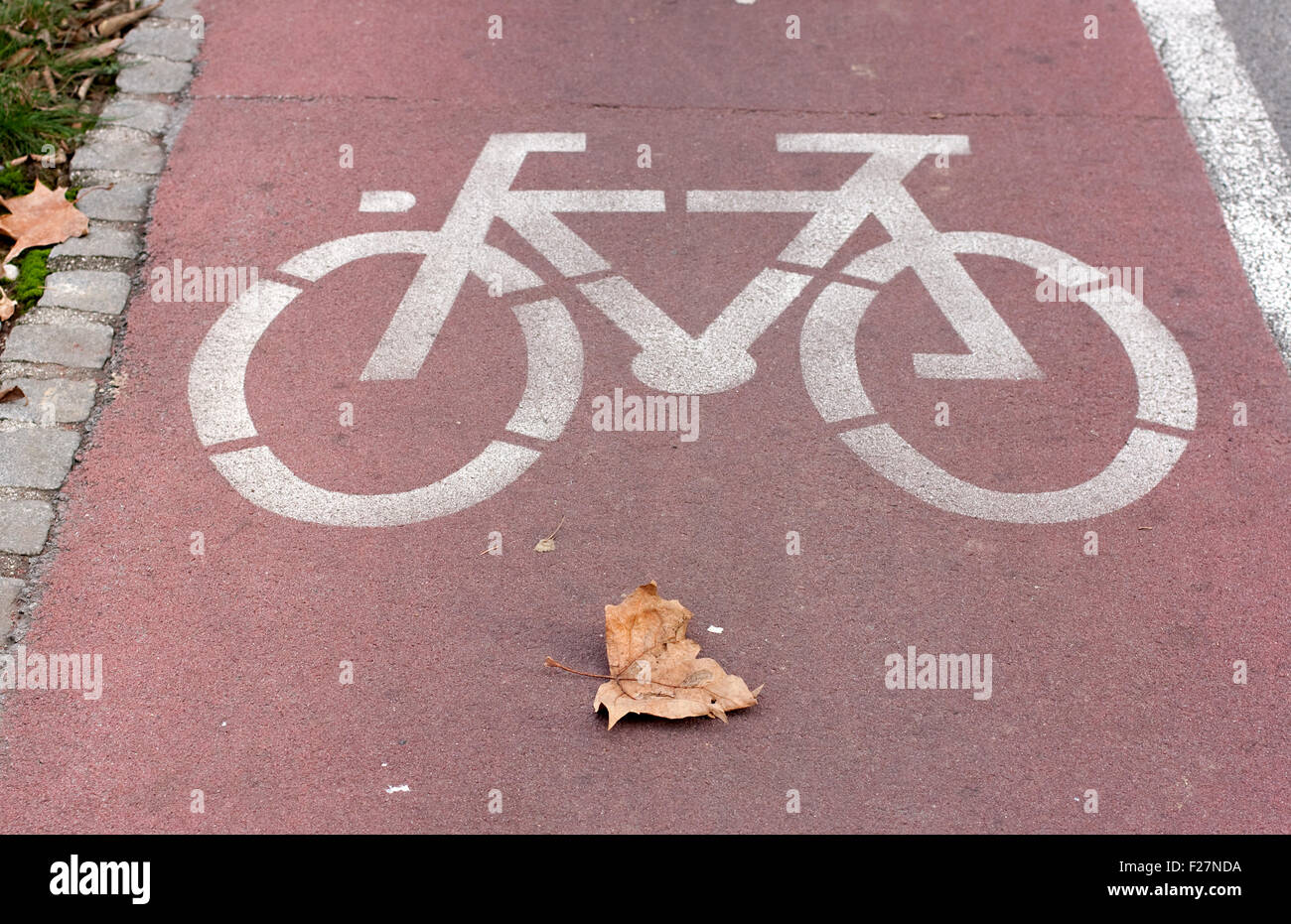 Bicycle path with dead leaf Stock Photo - Alamy