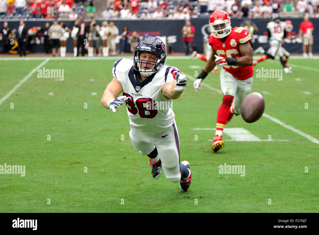 Houston, TX, USA. 13th Sep, 2015. Houston Texans tight end Garrett ...