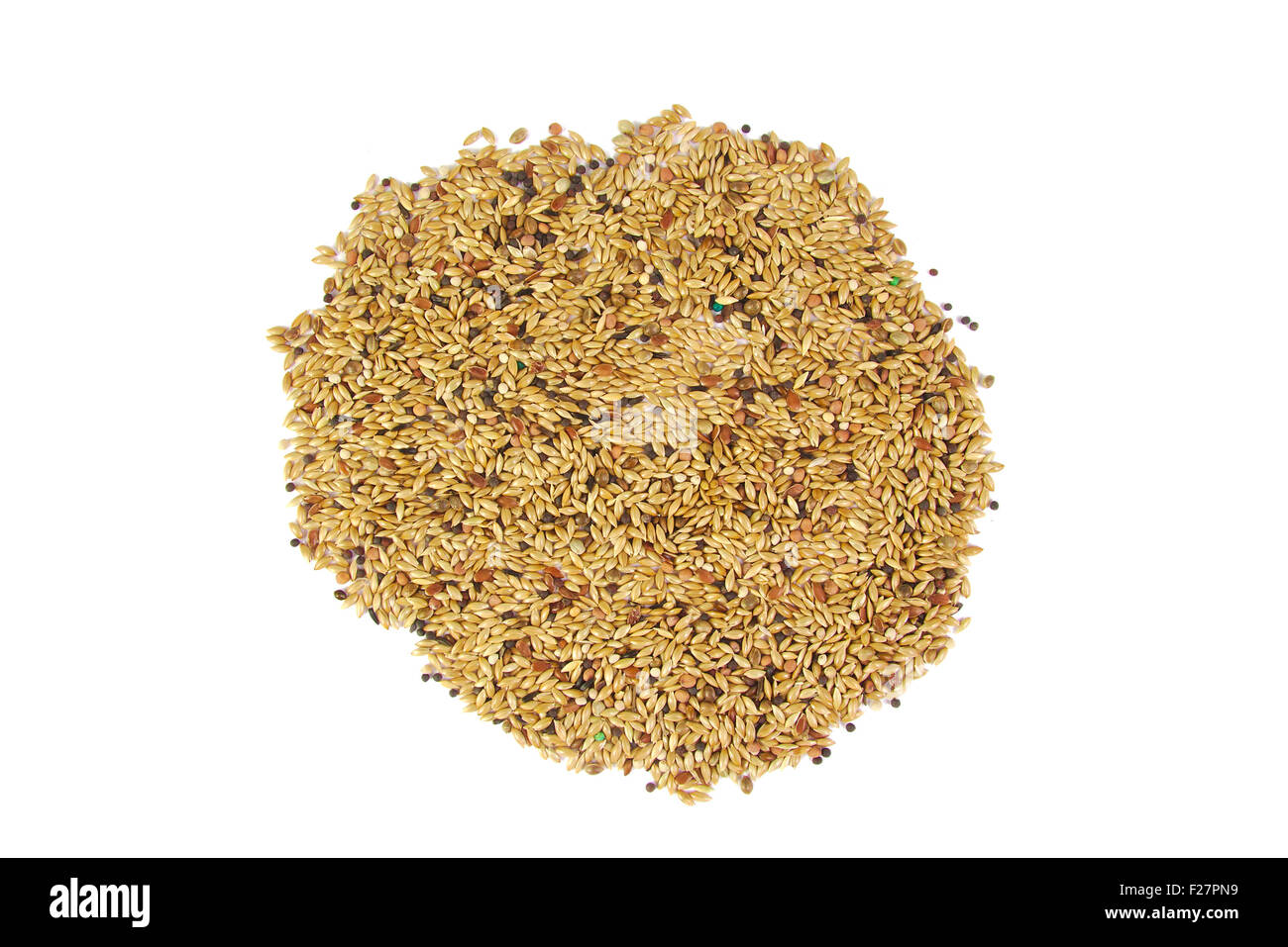 Food for birds isolated on white background Stock Photo - Alamy