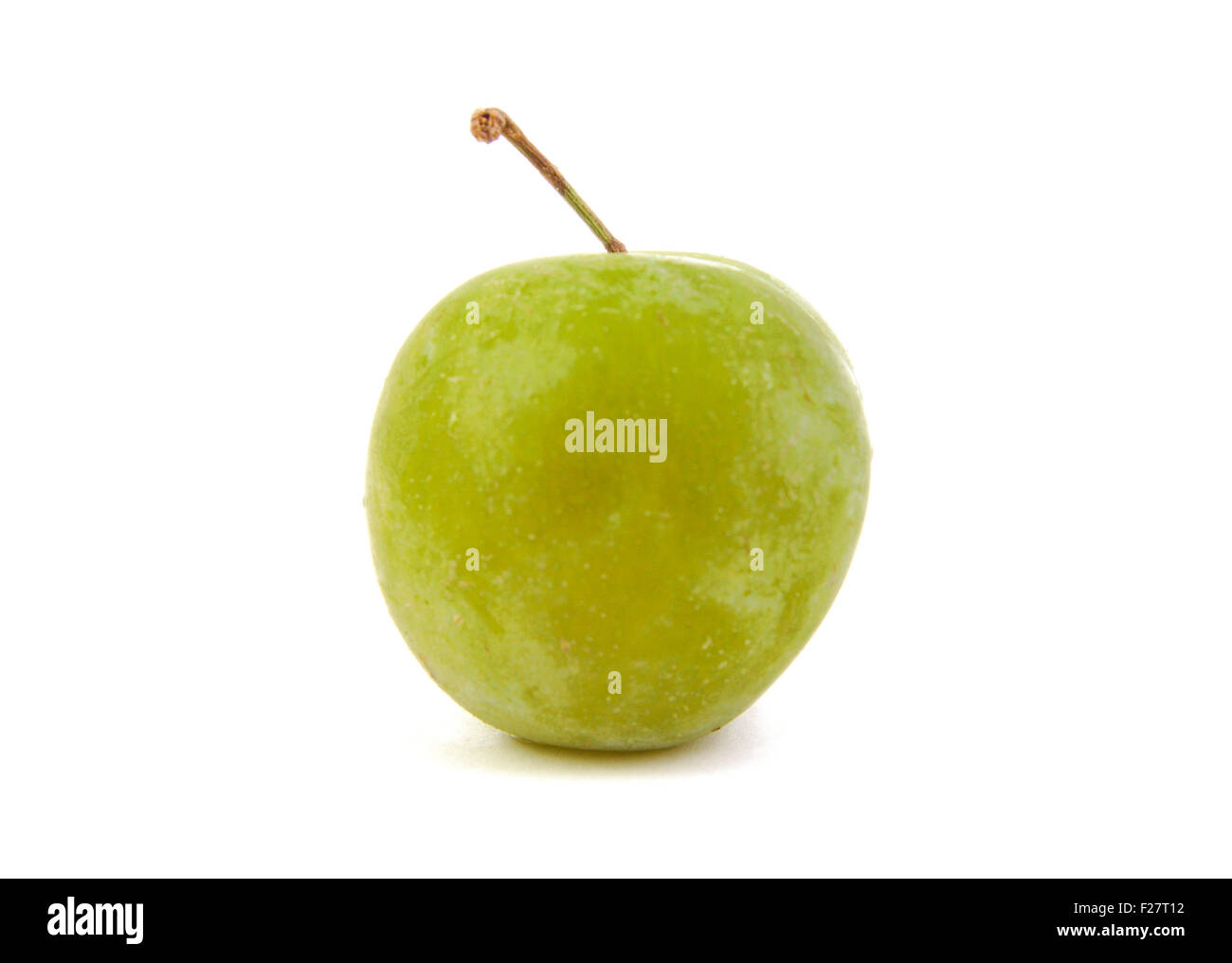 Close up of a single green plum isolated on white background Stock ...