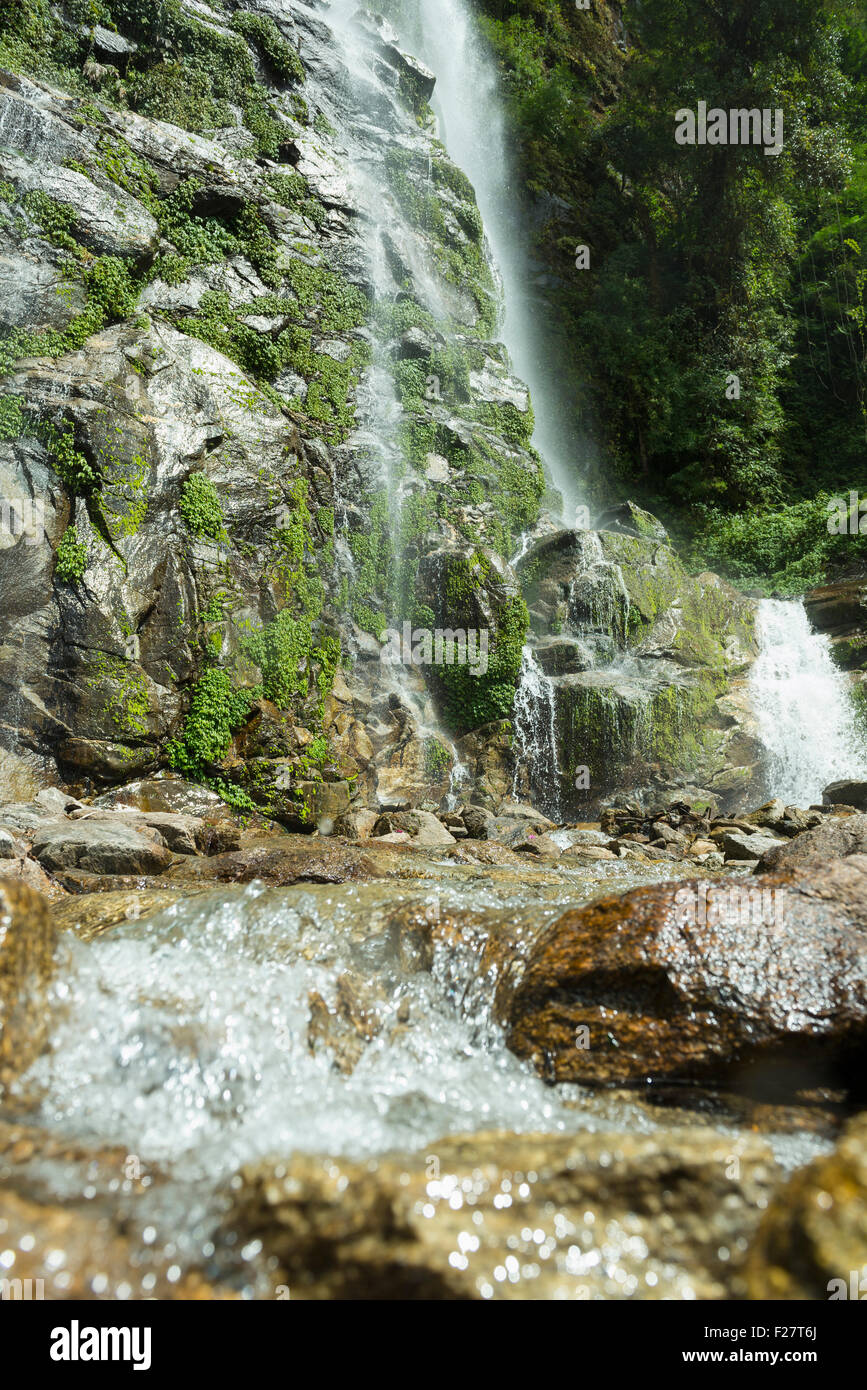 Waterfall in forest, Nepal Stock Photo - Alamy