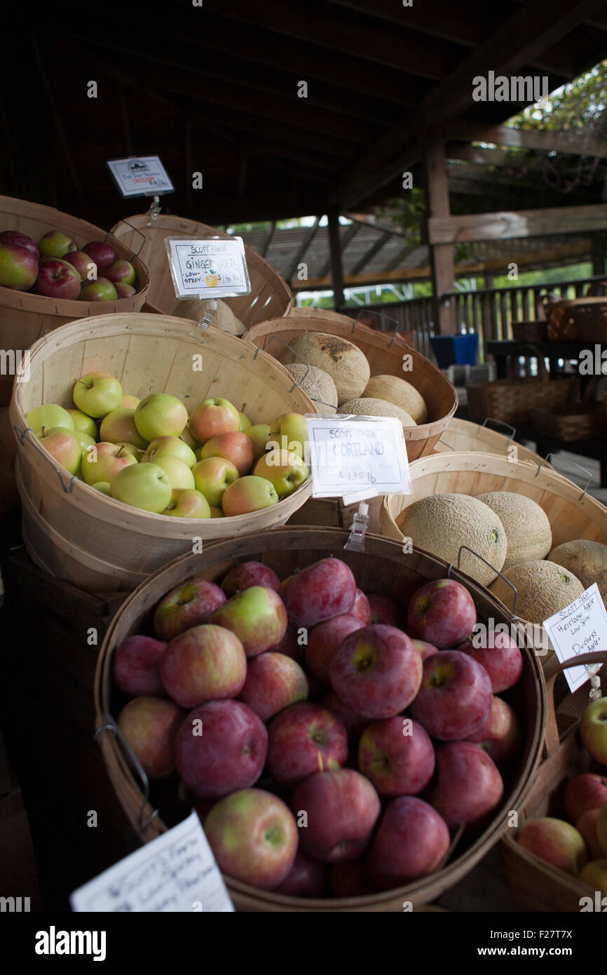 Apples and melons for sale in baskets at a farm stand in Vermont Stock ...
