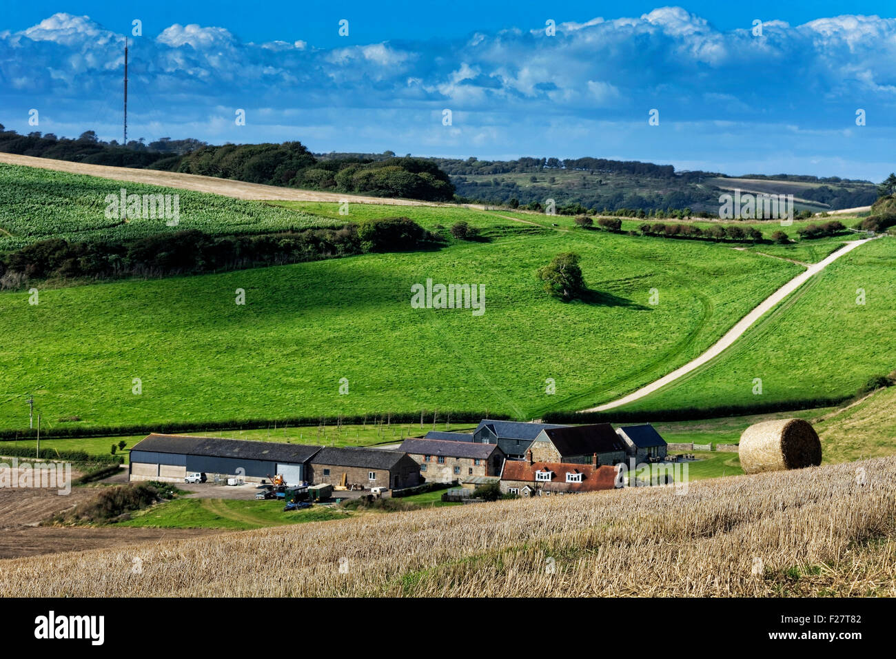 Looking across New Barn Farm towards Northcourt Down and the television ...