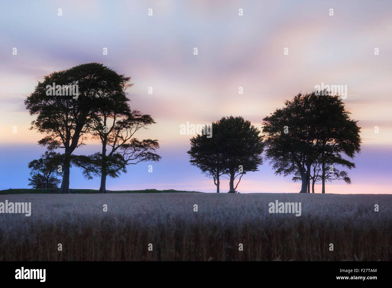 Wiltshire sommer hi-res stock photography and images - Alamy