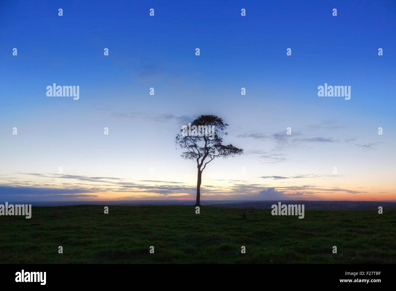 Roundway hi-res stock photography and images - Alamy